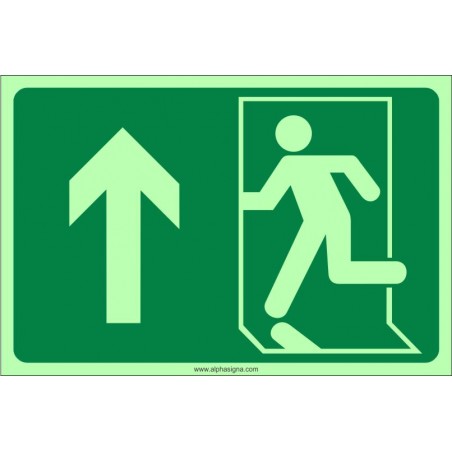 Emergency photoluminescent sign: Man door (arrow up)
